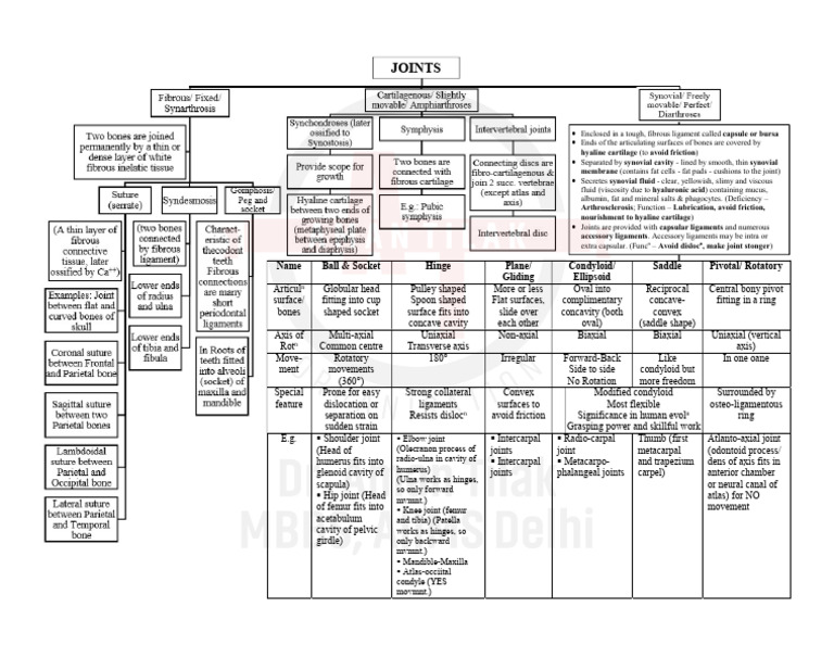 Classification of All Jointa | PDF