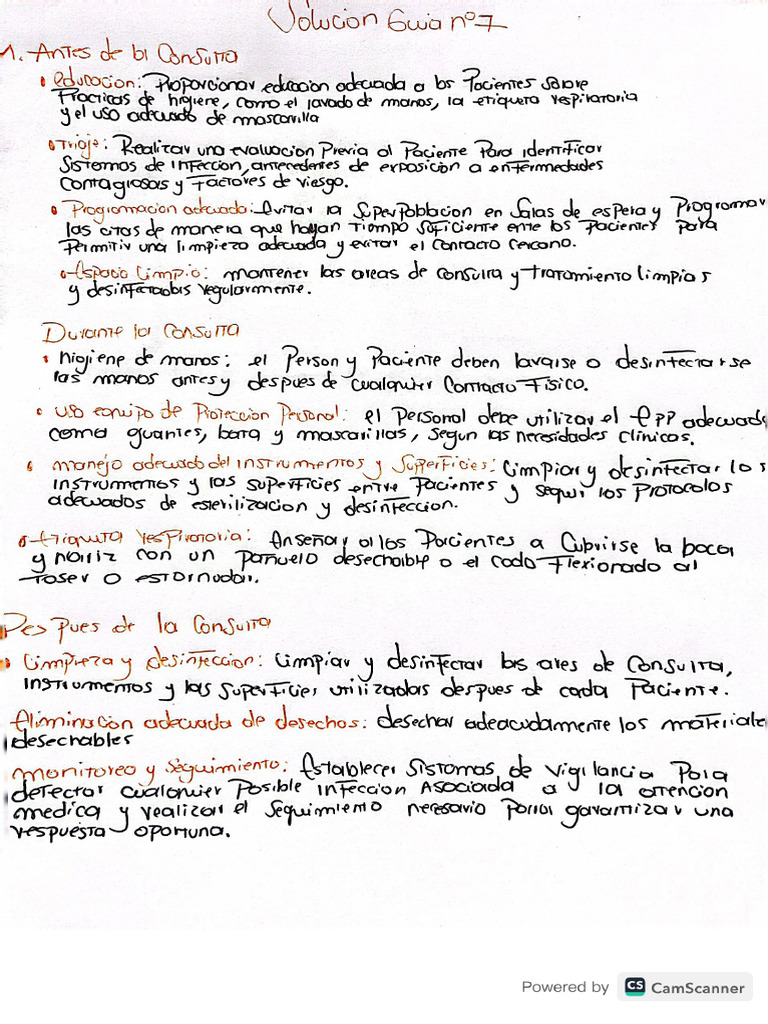 Guia n7 Luisa Canabal | PDF