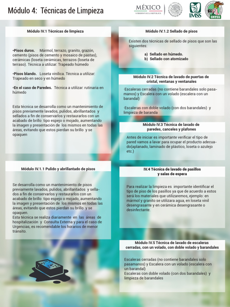 Modulo 4. Tecnicas de Limpieza | PDF