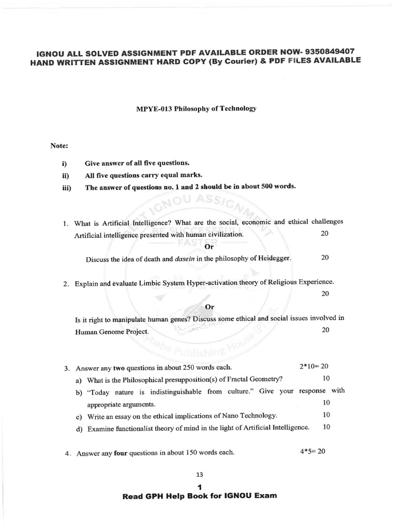 MPYE 13 English December 2023 June 2024 | PDF