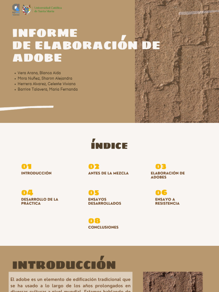 Informe Adobe | PDF