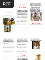 Topocho | PDF | Dieta y nutrición | Fibra dietética