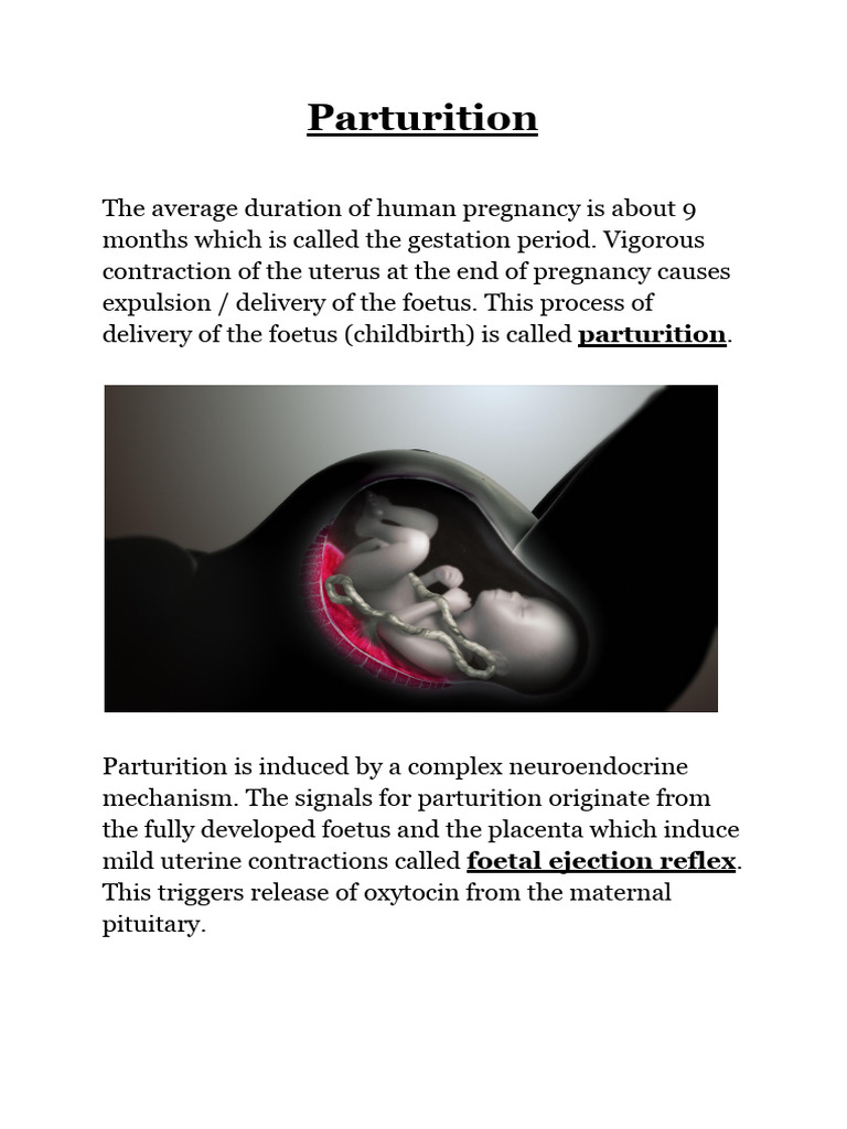 Parturition | PDF