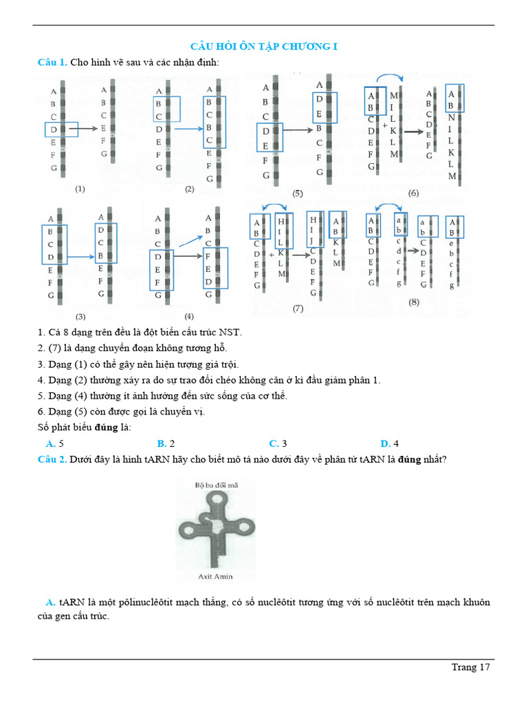 BT LT C1 Sinh 12 | PDF