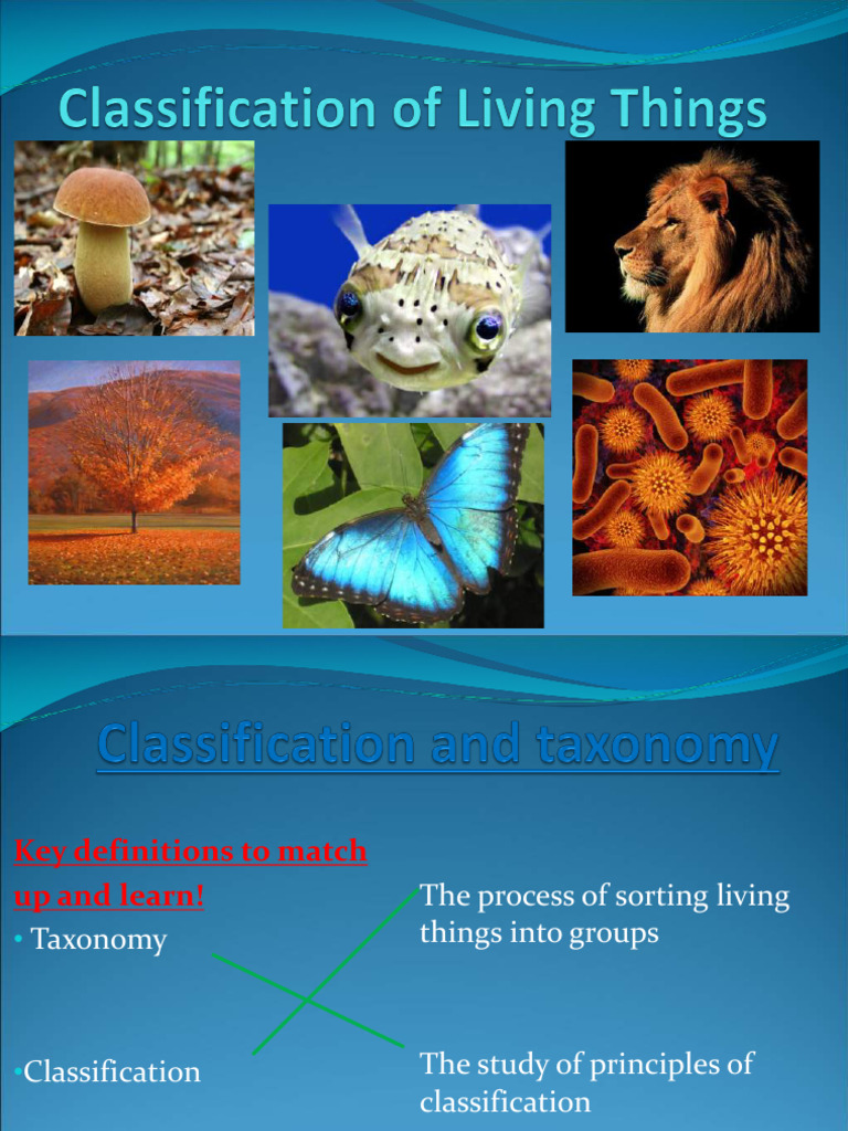 The Classification of Living Things | Download Free PDF | Taxonomy (Biology) | Archaea