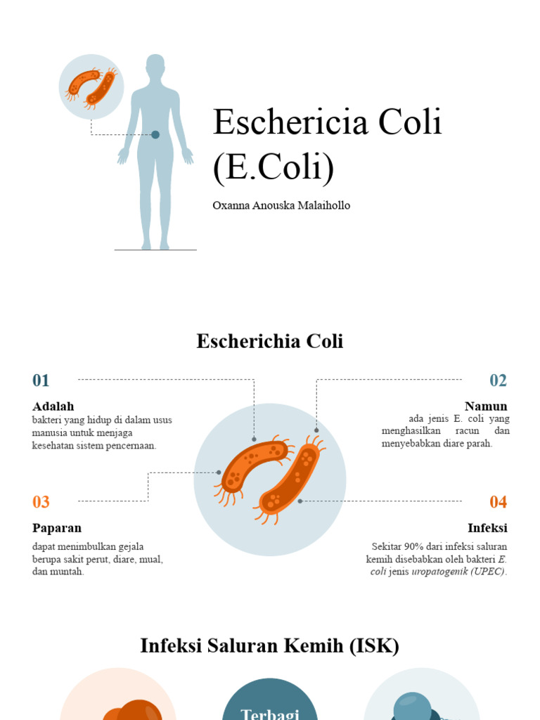 E.Coli | PDF