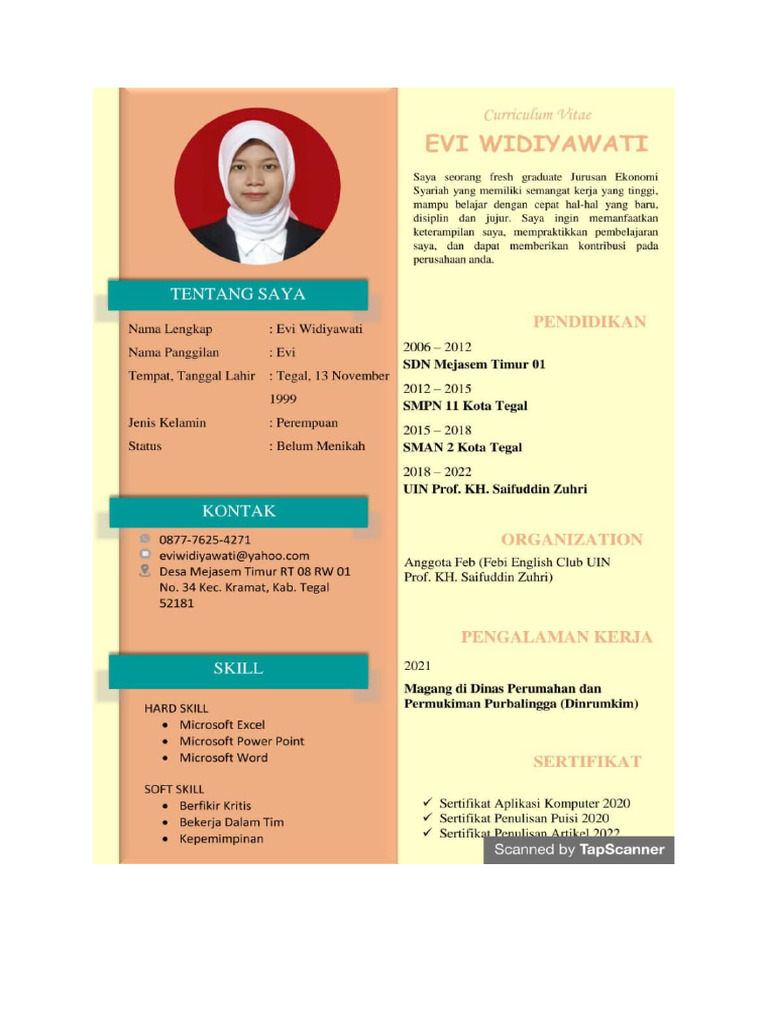 CV Abid | PDF