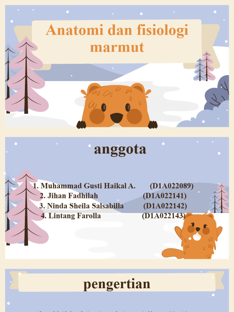 Anatomi dan Fisiologi Marmut | PDF