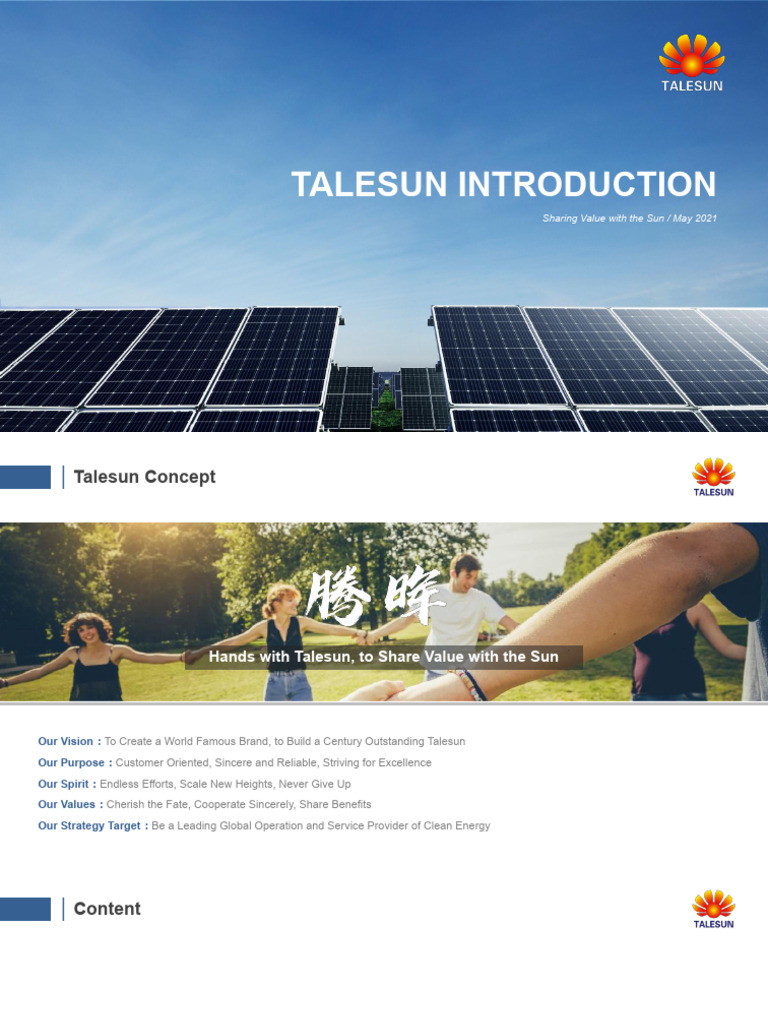 Talesun Company Presentation_5.18 | PDF