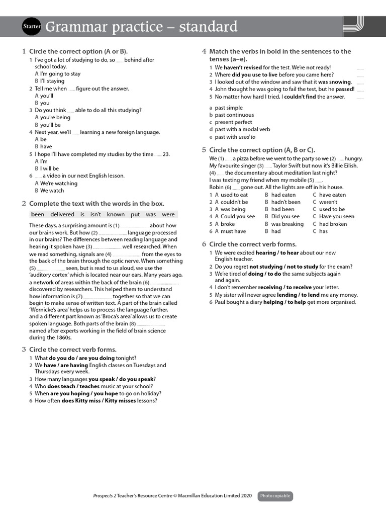 EP U0S Grammar Practice Standard | PDF