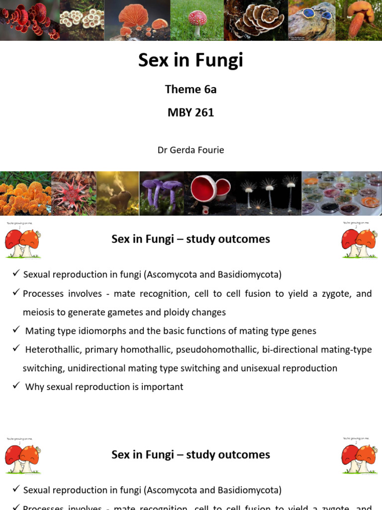 Lecture 6a Sex In Fungi 2023 Pdf