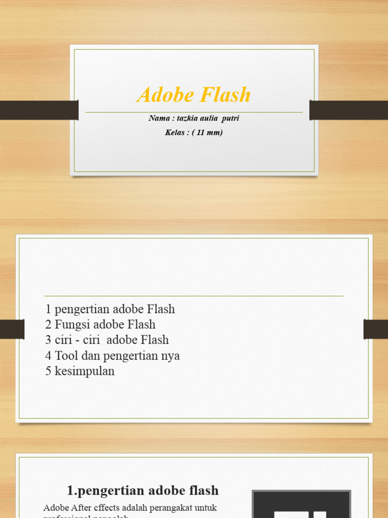 Adobe Flash | PDF