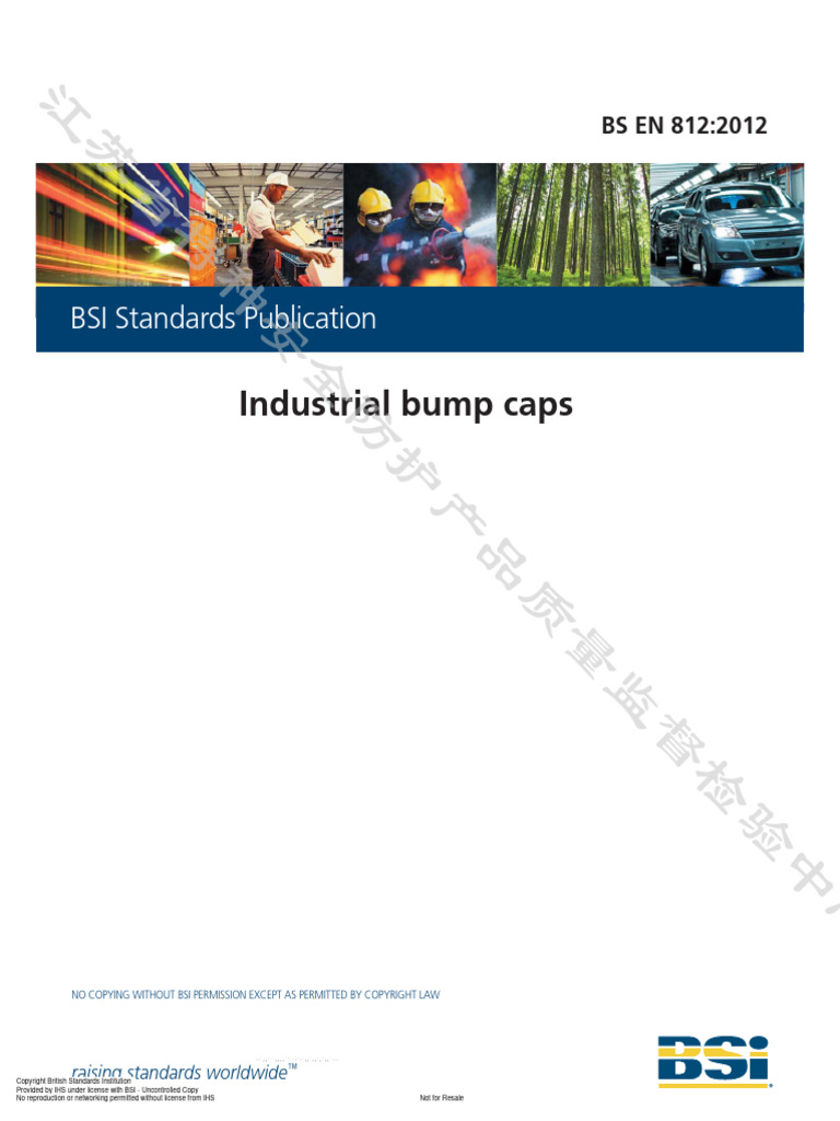 BS EN 812-2012 Industrial bump caps | PDF