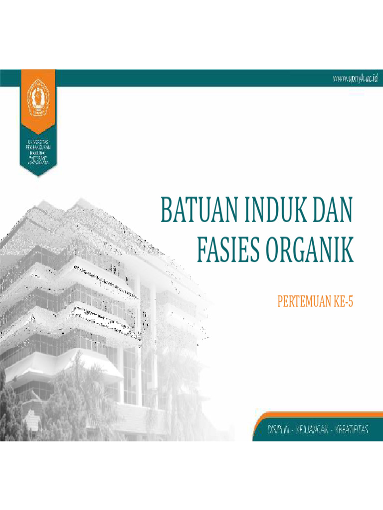 Batuan Induk Dan Fasies Organik | PDF