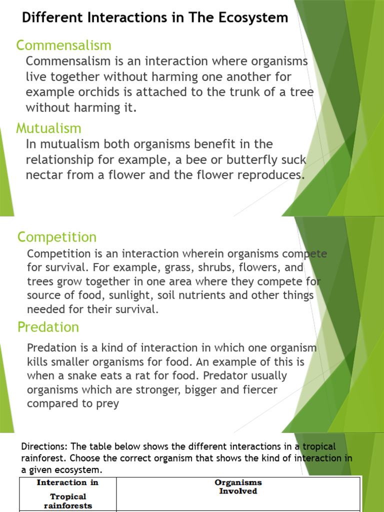 Interaction in The Ecosystem | PDF