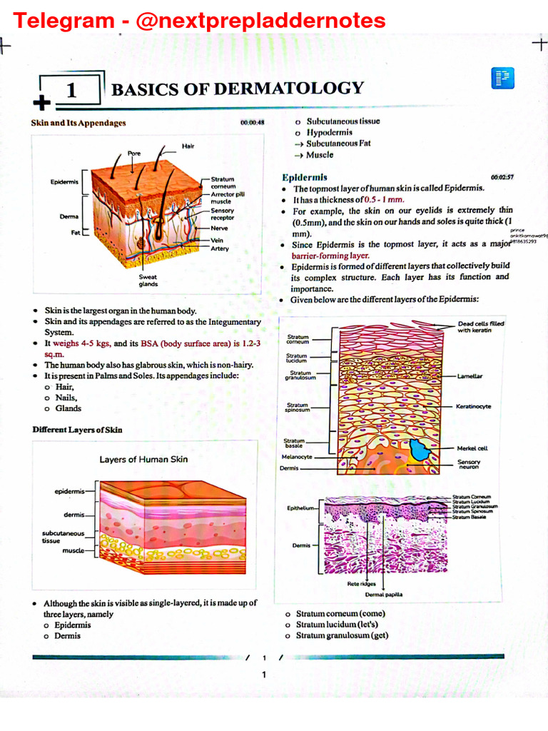 Derma Ed 5 | PDF