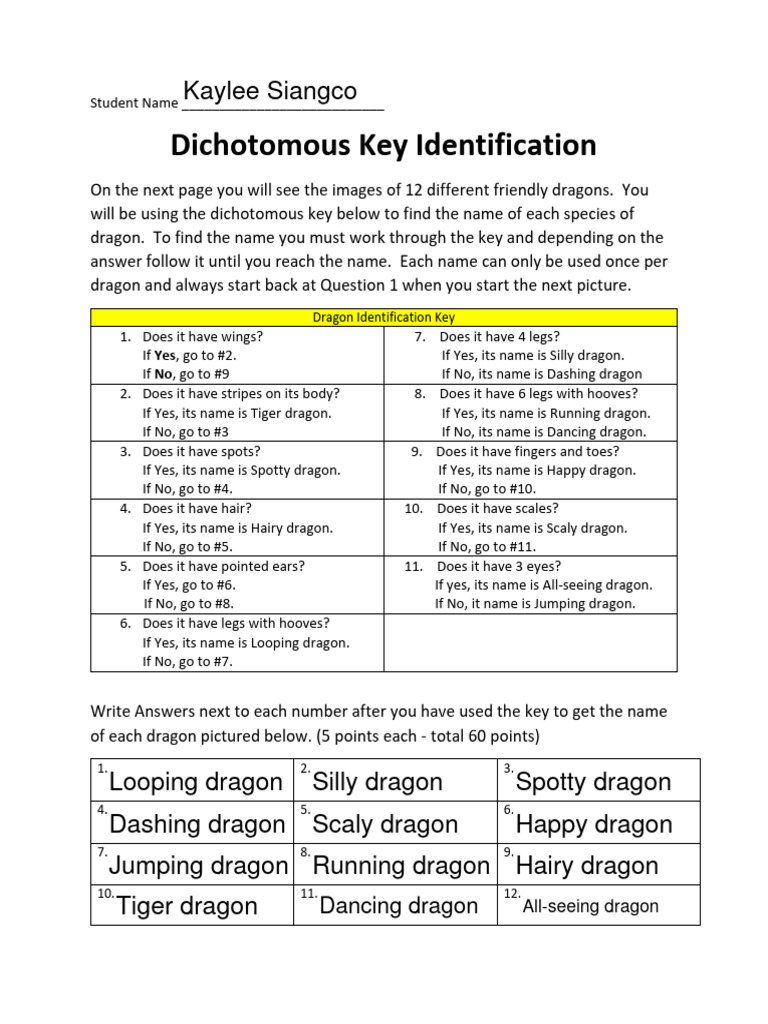 Dichotomous Key Identification | PDF
