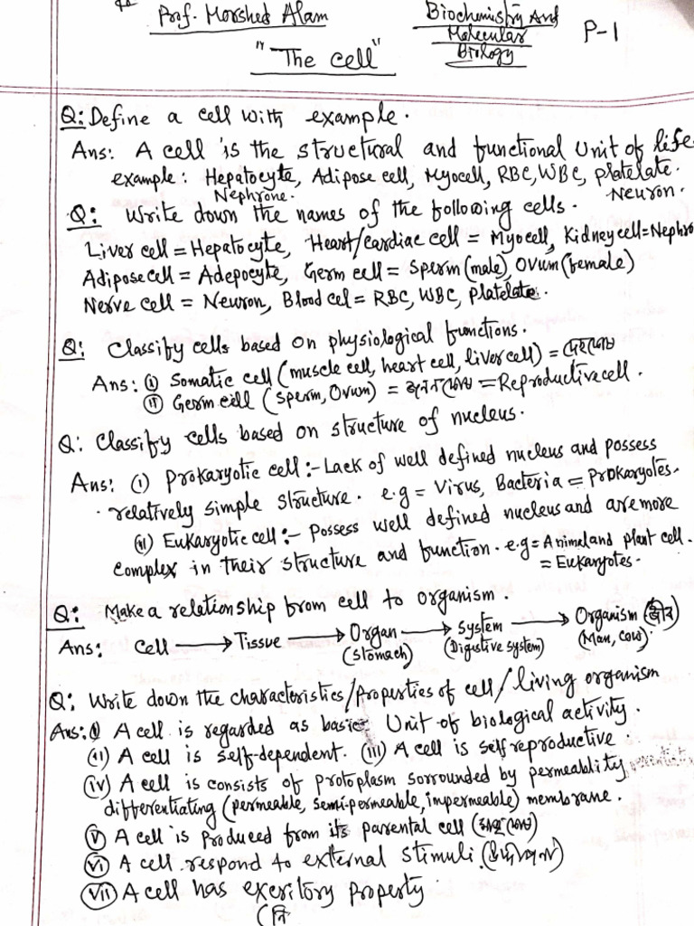 The Cell - All About Cell Biochemistry Handnote | PDF