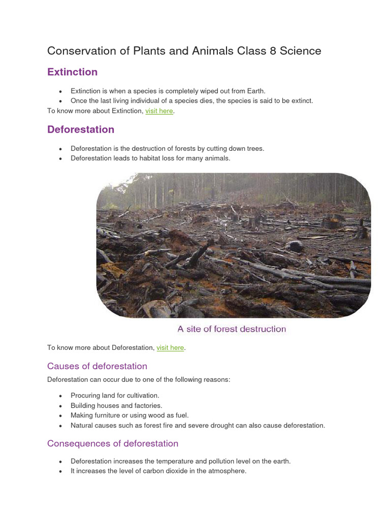 Class 8 Science Conservation of Plants and Animals | PDF