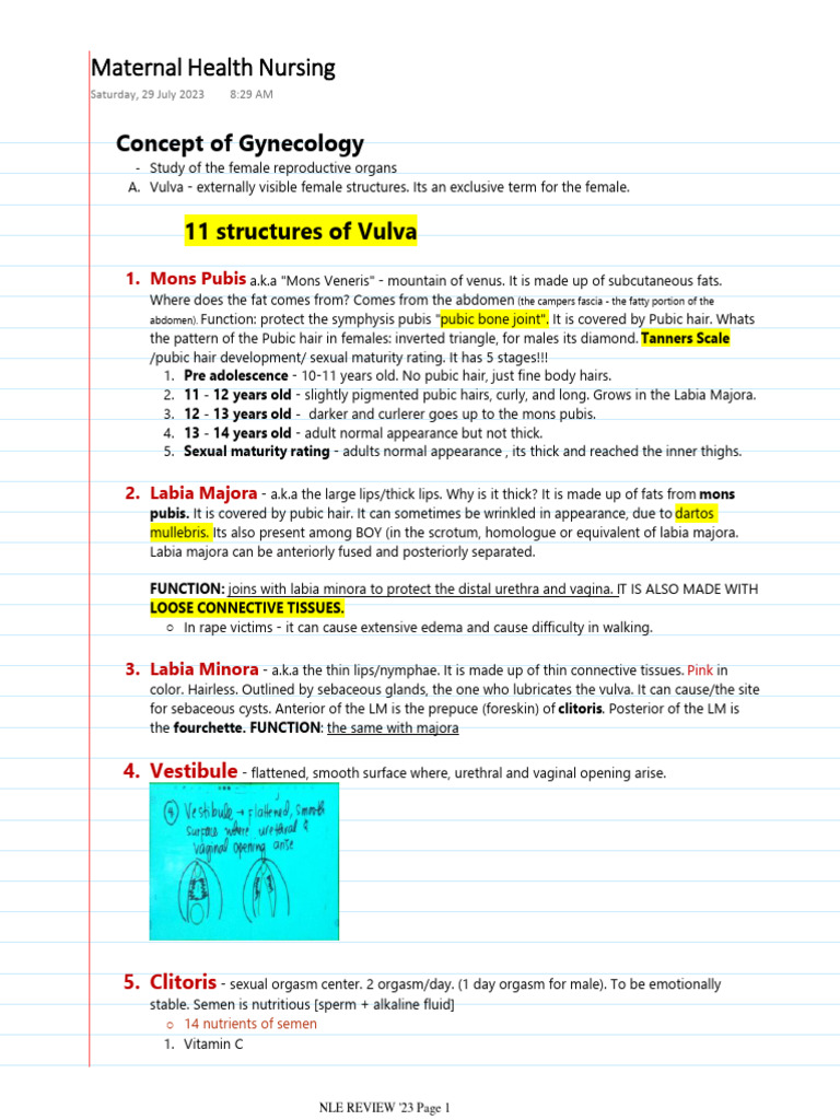 Maternal Health Nursing | PDF