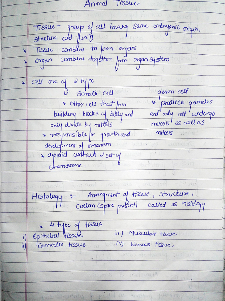 Animal Tissue 1 | PDF