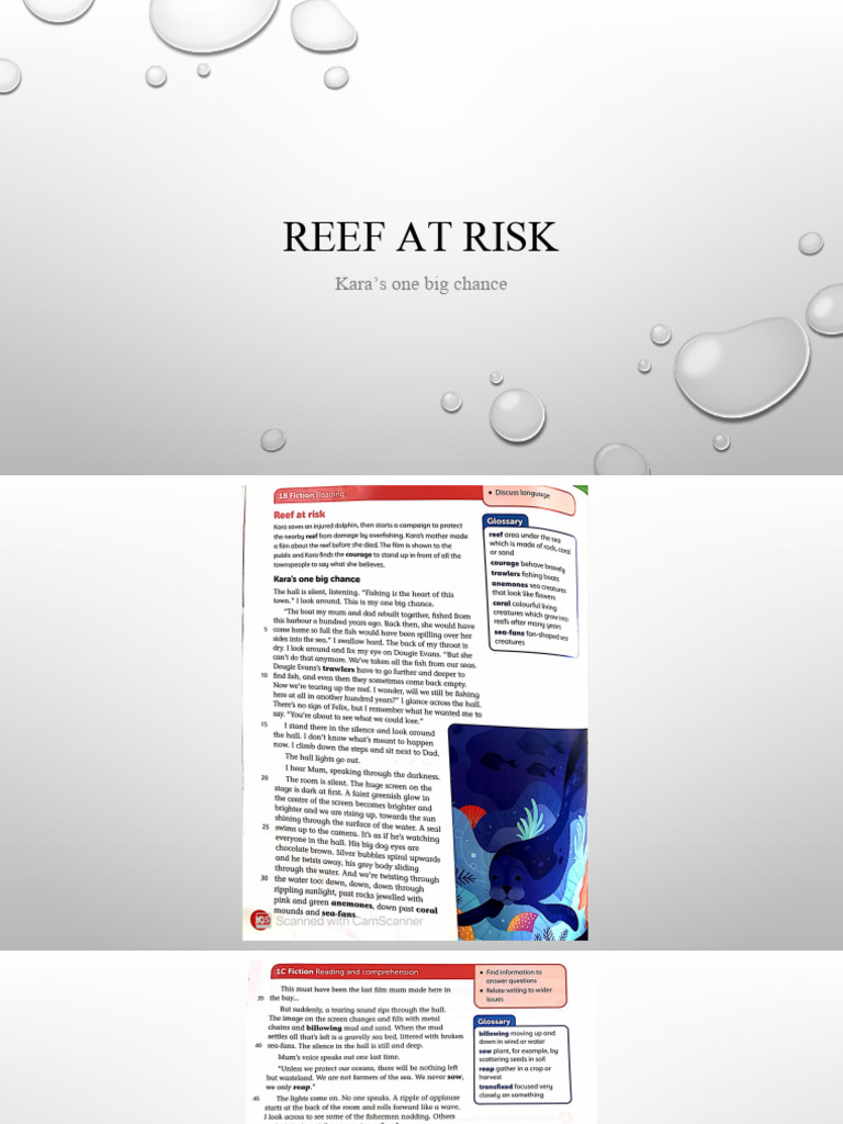 Reef at Risk | PDF