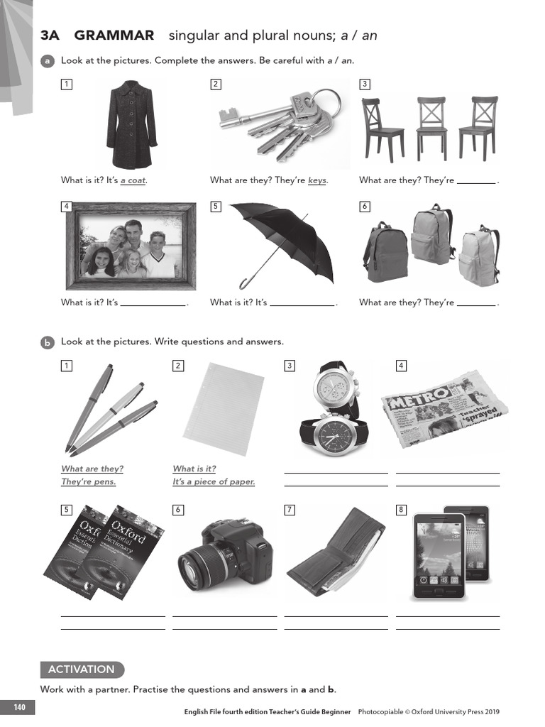 A1 - SINGULAR and PLURAL | PDF