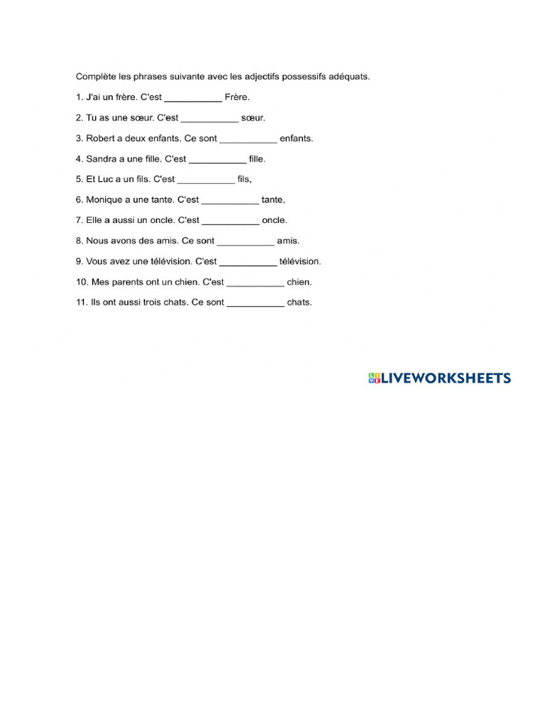 Les Adjectifs Possessifs Quiz G8 | PDF