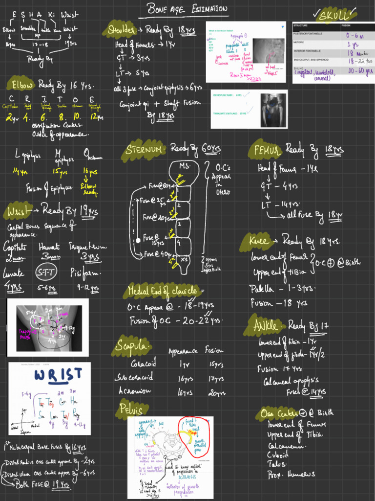 Bone Age Estimation. | PDF | Anatomy | Musculoskeletal System Bone Age Estimation. | PDF | Anatomy | Musculoskeletal System
