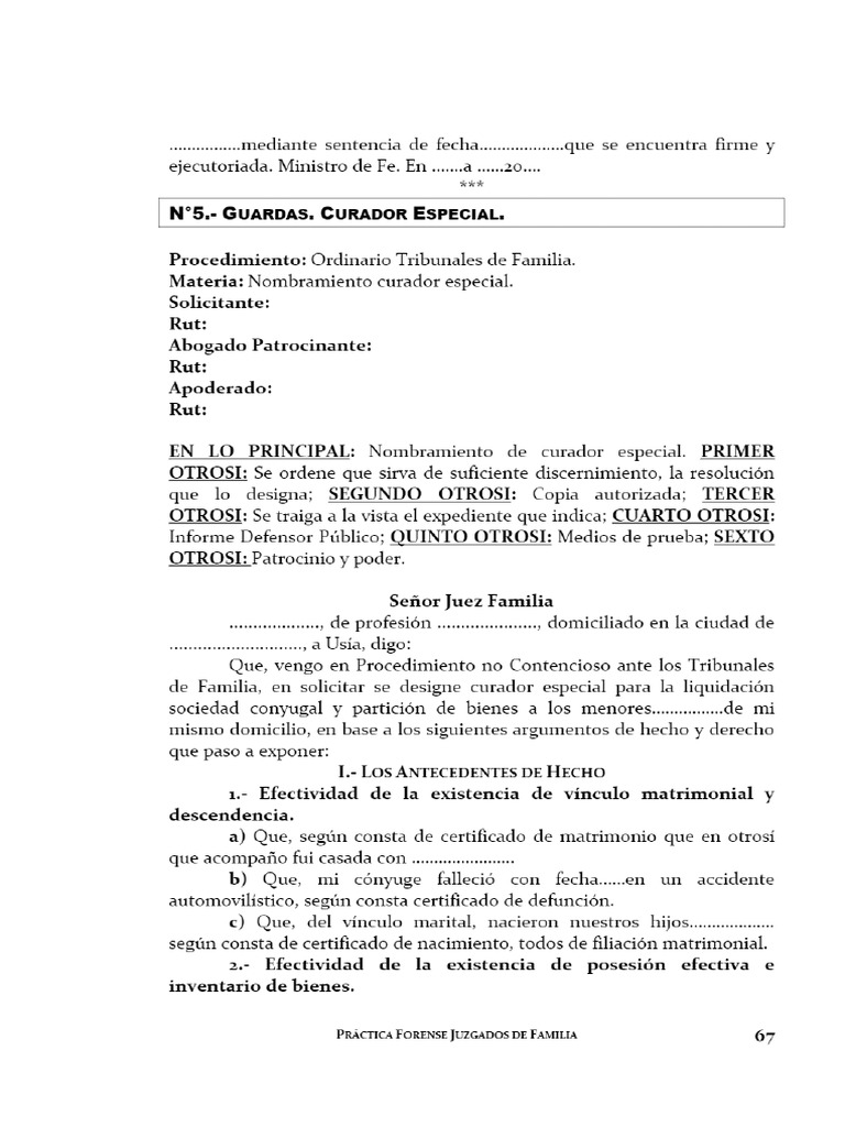 Práctica Forense N°5. - Guardas. Curador Especial | PDF