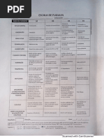 Escala de Dini (2) | PDF | Enfermagem