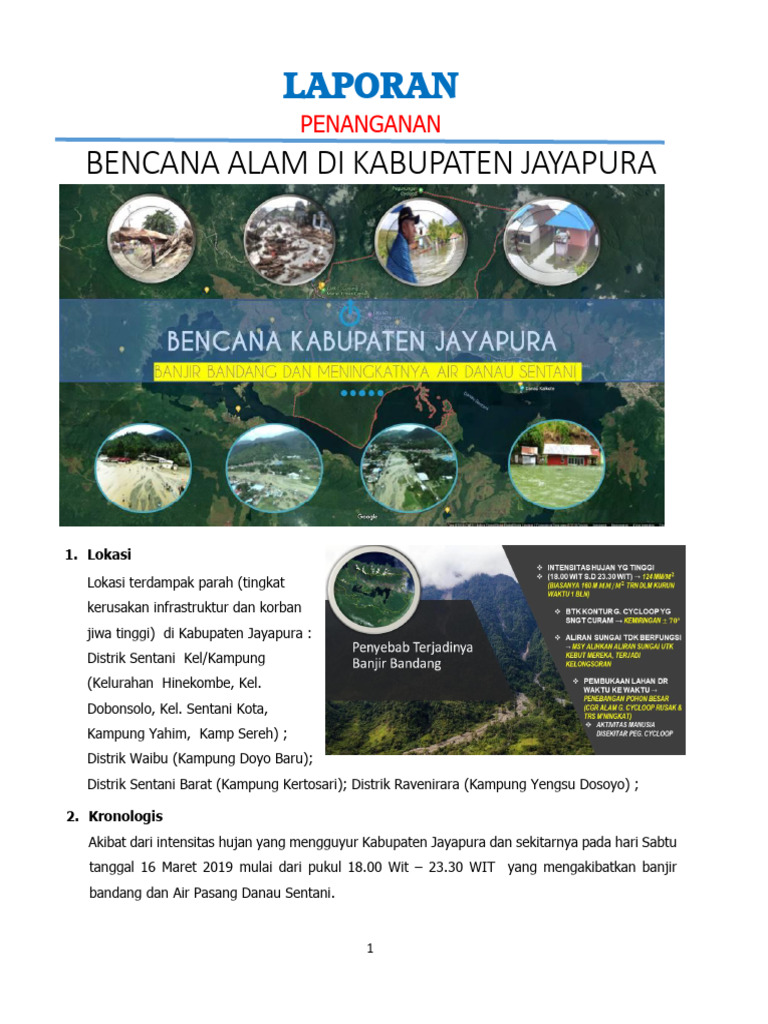 Laporan Penanganan Bencana Alam 2019 | PDF