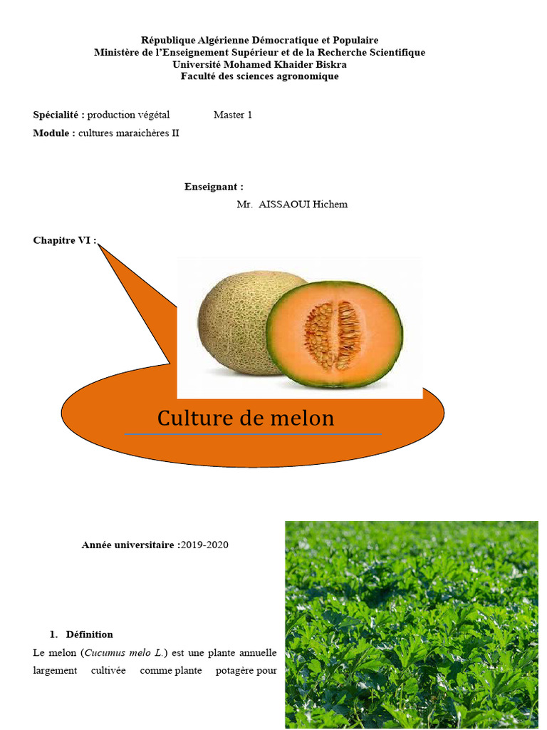 Cours Melon | PDF