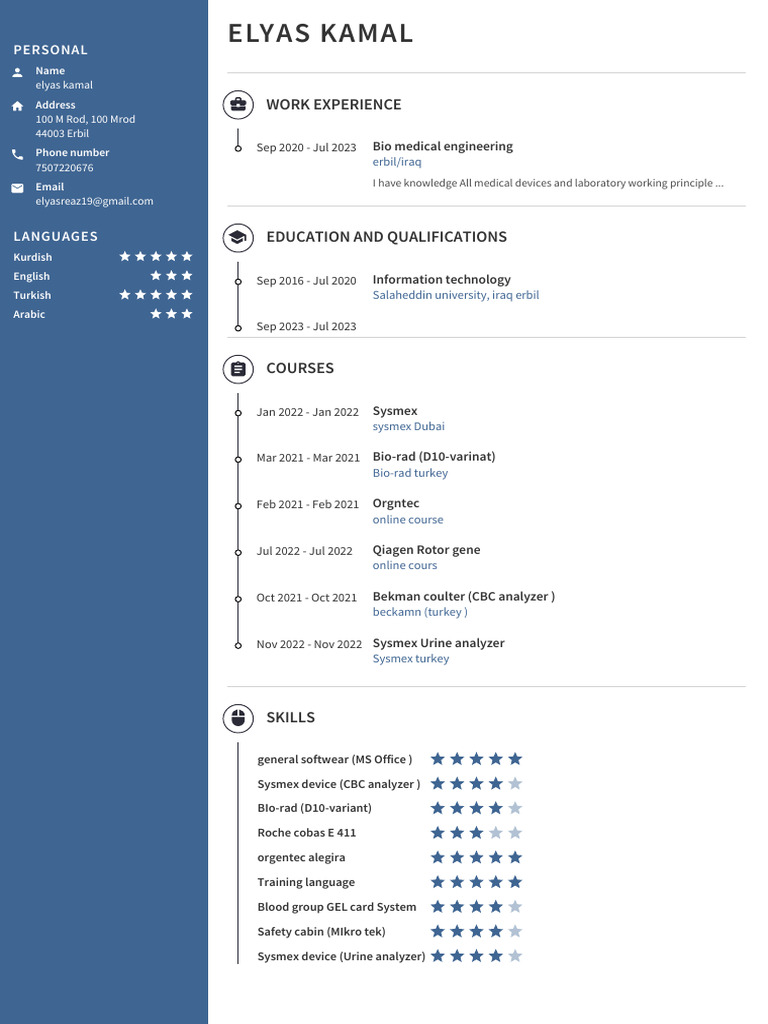 CV Elyas Kamal #1 | PDF
