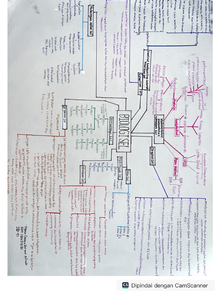 Mind Map - DK1 - Biologi Sel - Canaya Sheryna | PDF