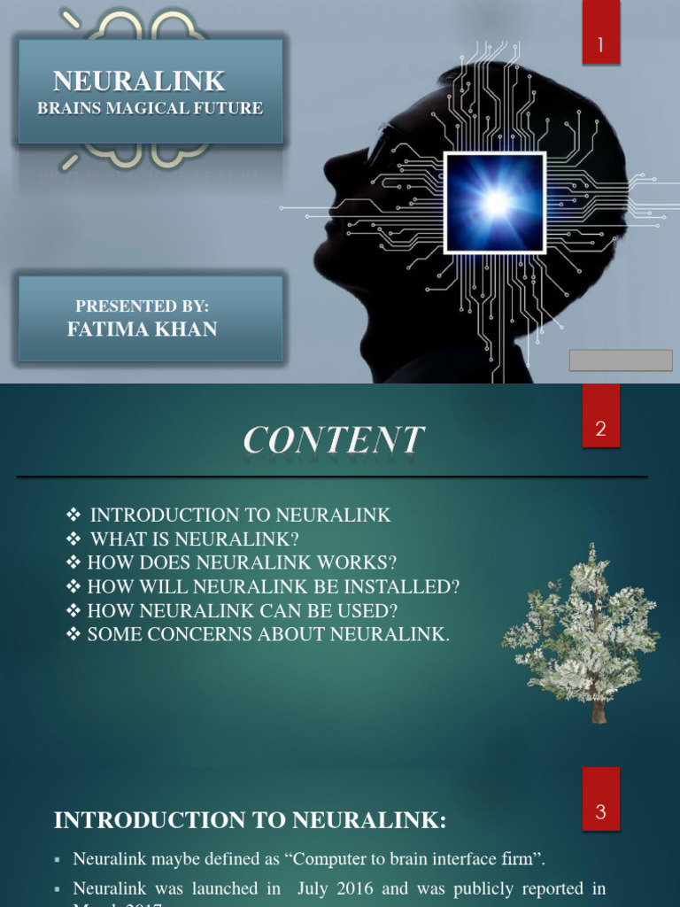 My Presentation | PDF | Neuroscience | Cognitive Science