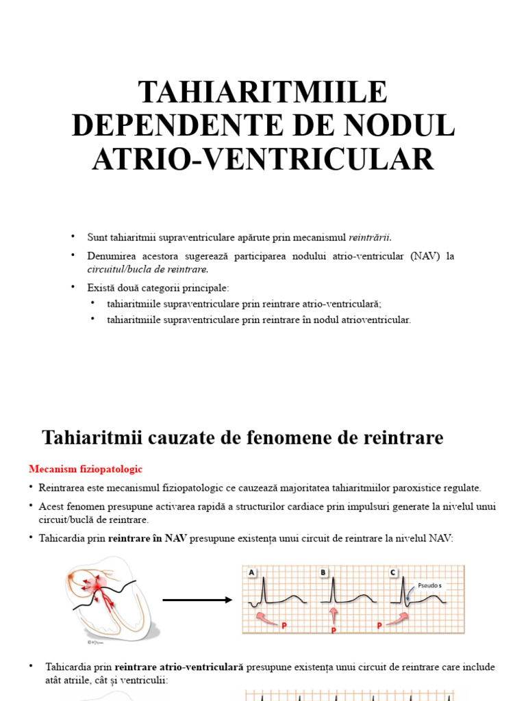 Interpretare, Explicații Și Comentarii Trasee ECG | PDF