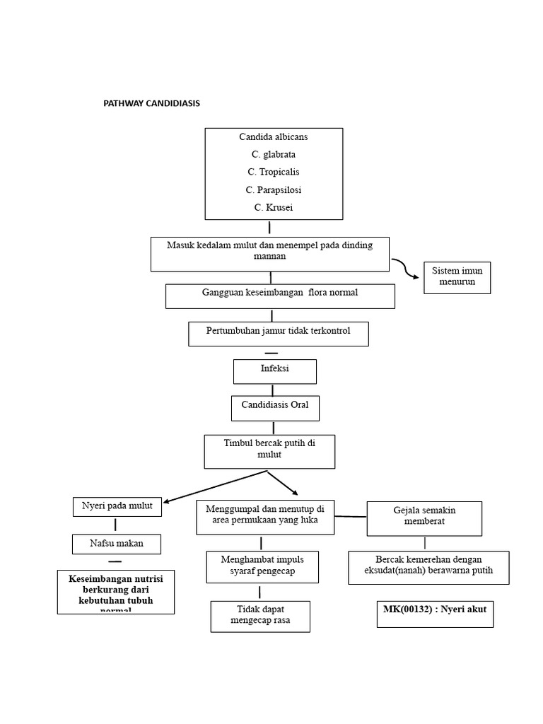 PATHWAY CANDIDIASIS | PDF