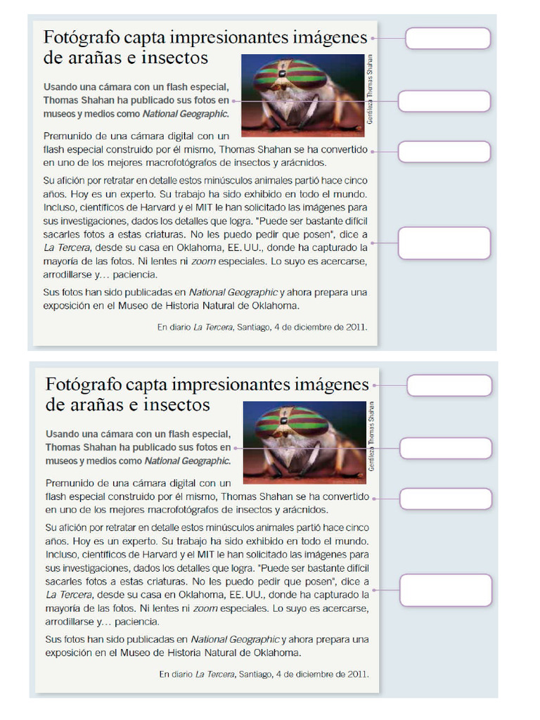 Estructura de La Noticia | PDF