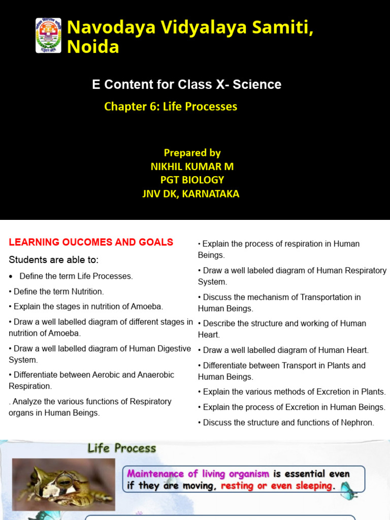 6 Life Process 1 | PDF