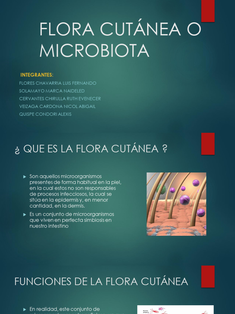 Flora Cutánea | PDF | Piel | Infección