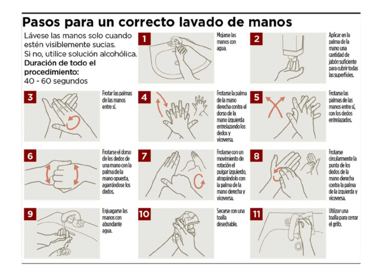 Once Pasos para Un Correcto Lavado de Manos | PDF