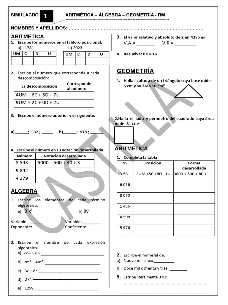 Práctica Simulacro Matematica | PDF