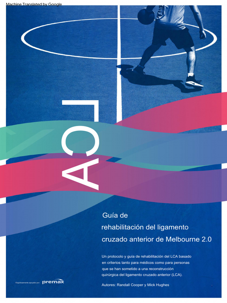 ACL Guide | PDF