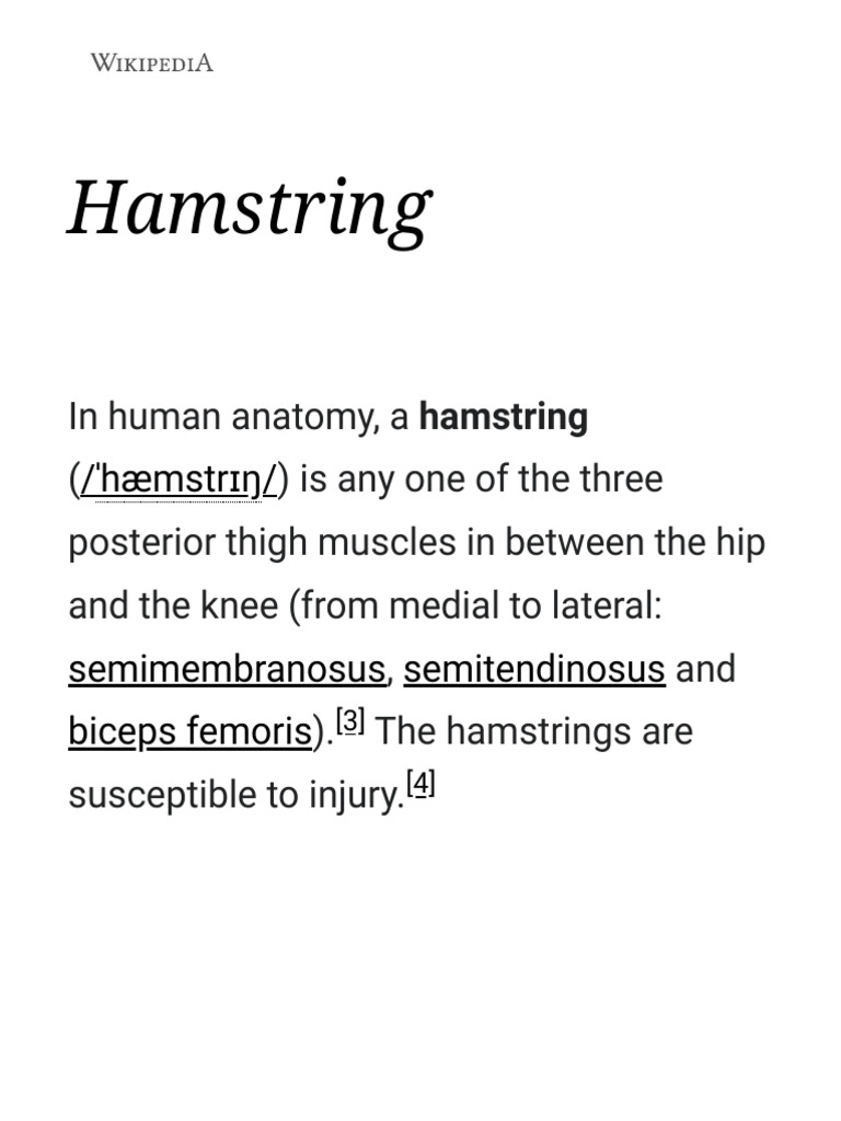 Hamstring - Wikipedia | PDF | Knee | Human Leg