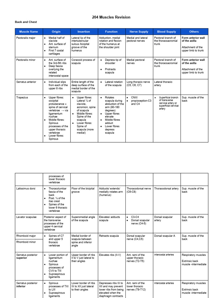 Muscles Revision | PDF