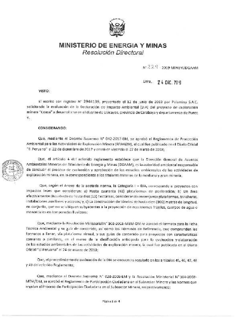 RD 229 2019 Minem Dgaam Dia Palamina | PDF
