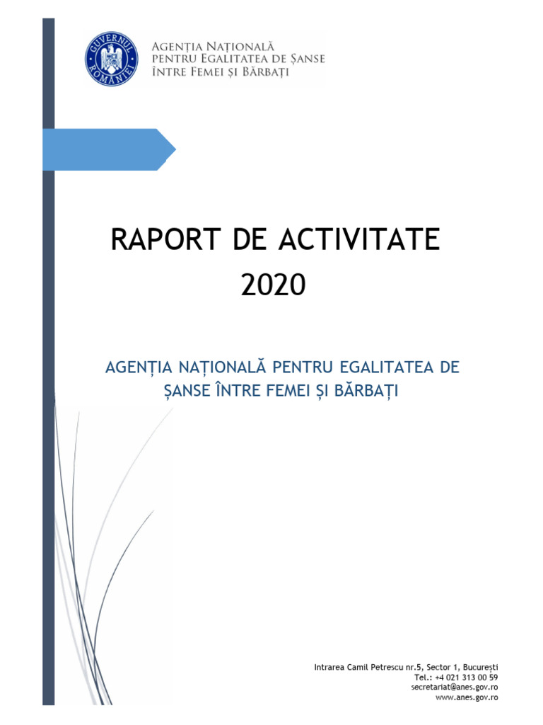 Raport de Activitate 2020 ANES | PDF