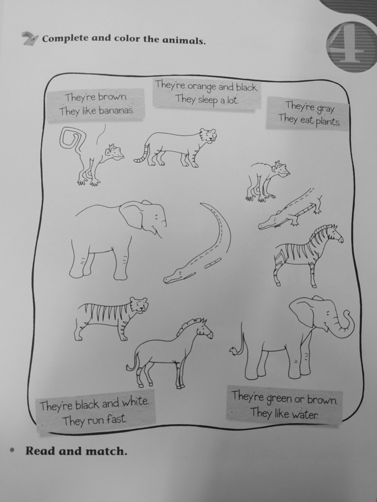 3rd Grade Animals | PDF