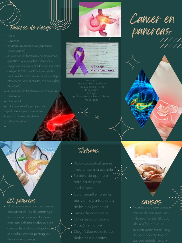 Triptico de Cancer de Pancreas | PDF